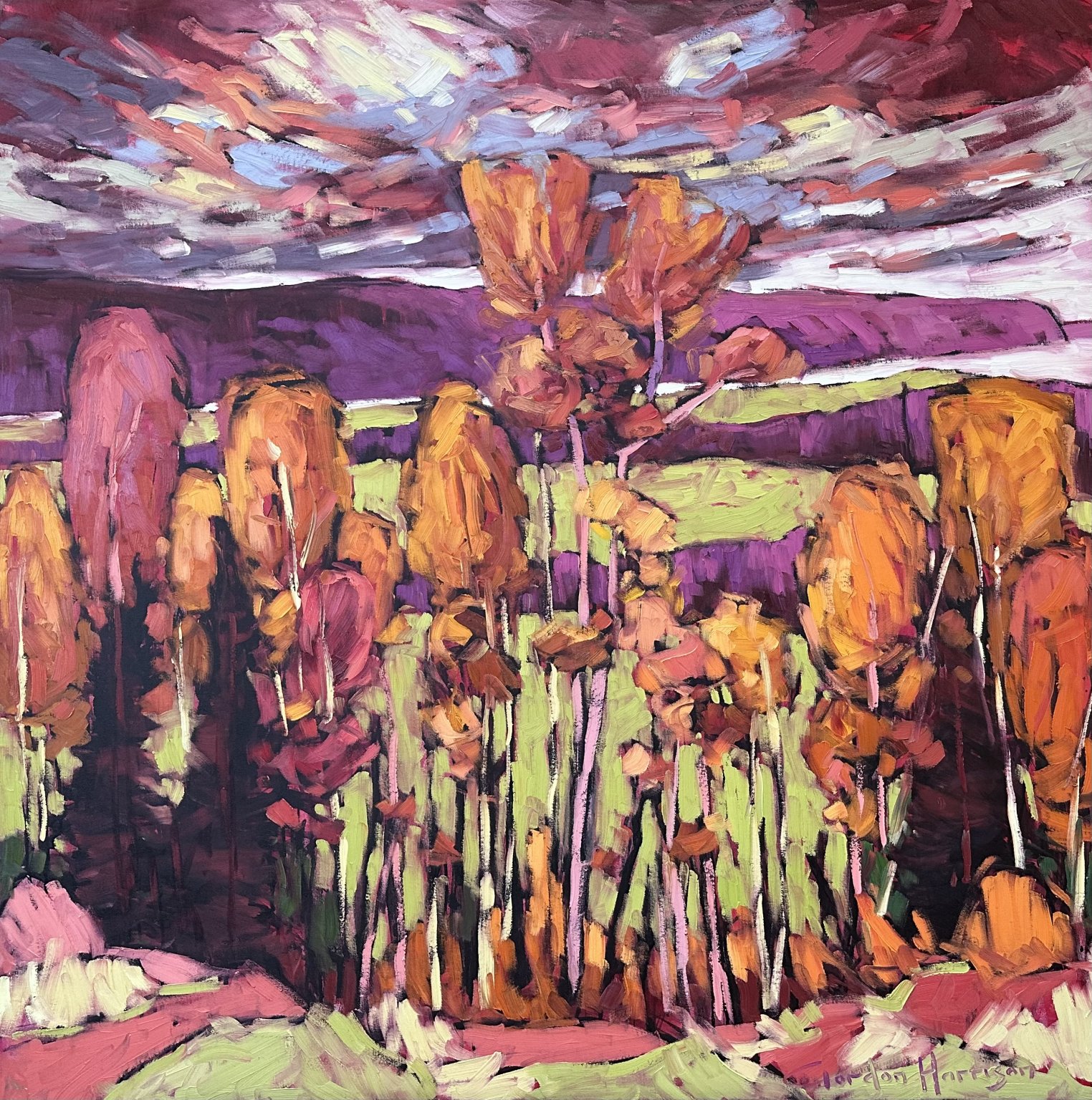 Gordon Harrison, sca aibaq - gordon harrison canadian landscape gallery ...